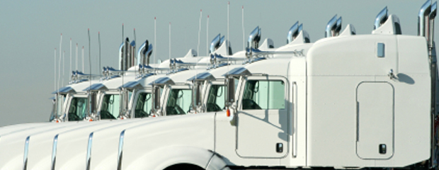 Project Haulage - Queensland Road Transport - Our Fleet